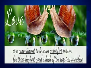 CCF GLC 1 Book 1_Session _One Proof - New life in Christ | PPT
