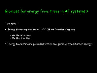 Session 3.2 alley coppice innovative agroforestry system | PPT