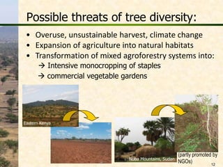 Session 3.3 potential of fruit trees in the drylands katja | PPT