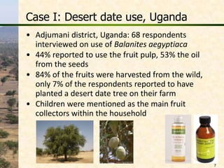 Session 3.3 potential of fruit trees in the drylands katja | PPTX
