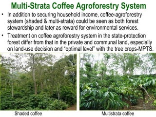 Session 3.4 arifin coffee agroforestry system in sekampung watershed ...