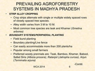 Session 3.4 promotion of teak under an agroforestry system | PPT