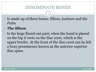 FEMALE PELVIS | PPTX