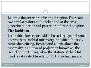 FEMALE PELVIS | PPTX