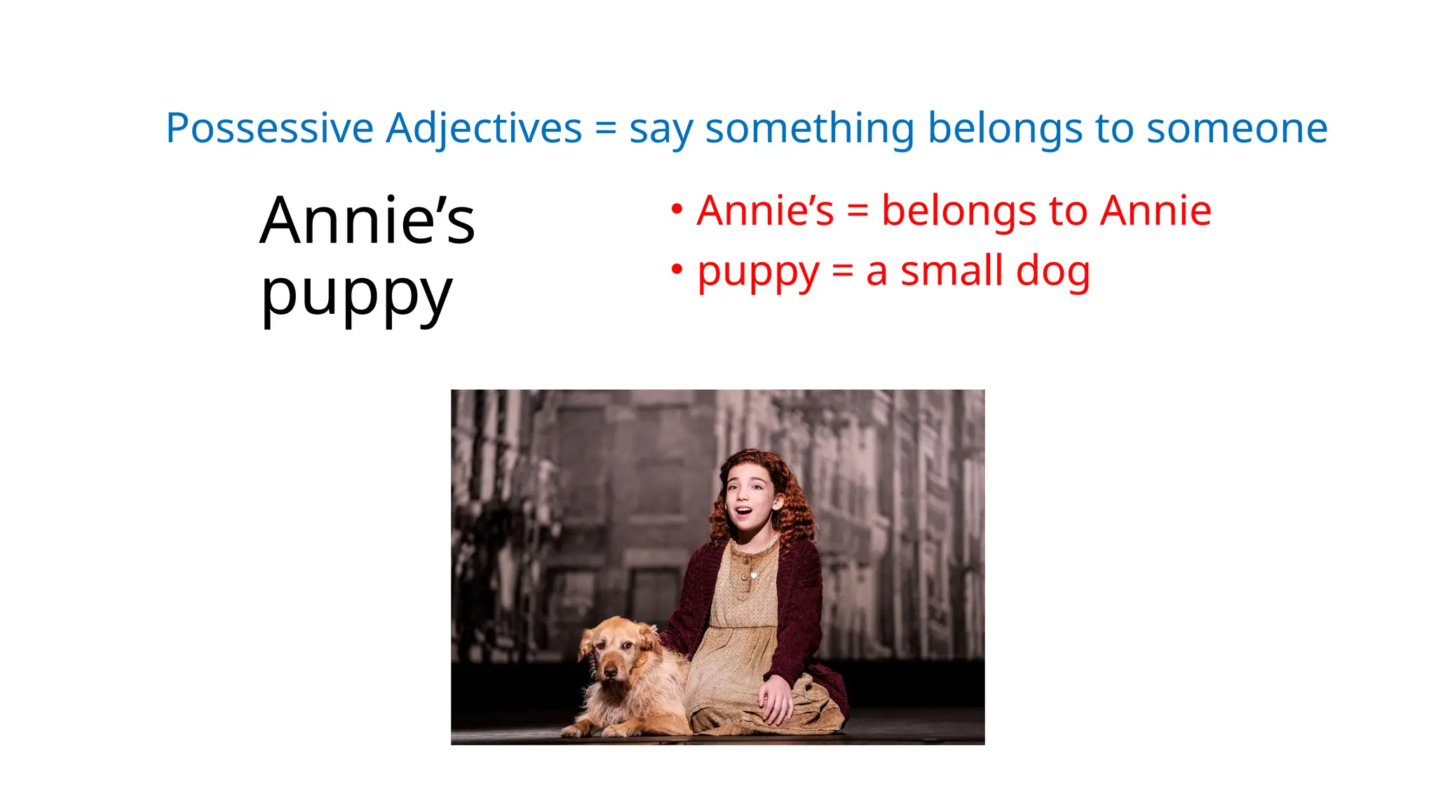 POSSESSIVE ADJECTIVE - MOVER ENGLISH CLASS | PPTX