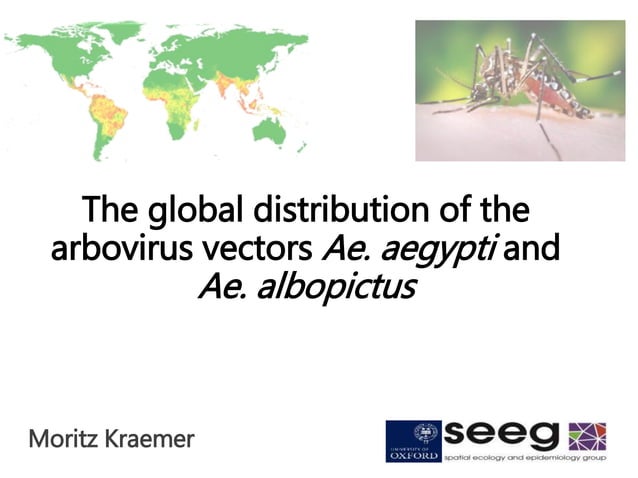 Global distribution maps of the arbovirus vectors Ae. aegypti and Ae ...