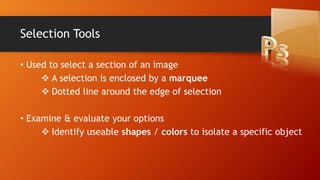Session 3 working with selection | PPT
