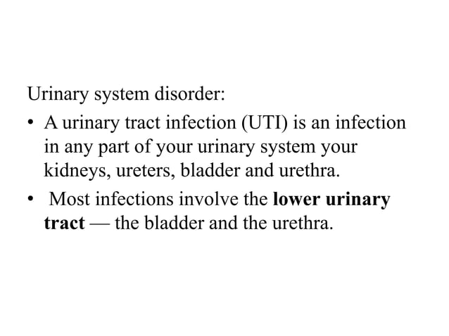 Session 31 Common Disorders of the Urinary System.pptx