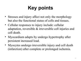 Session 3 Cellular responses to stress and noxious stimuli.pptx