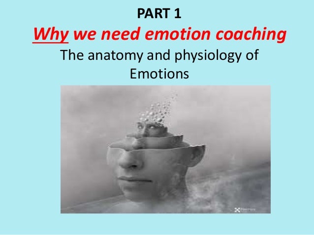 Session 3 Emotion Coaching Strategies