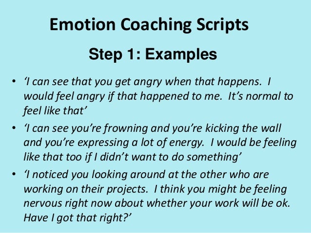 Session 3 Emotion Coaching Strategies