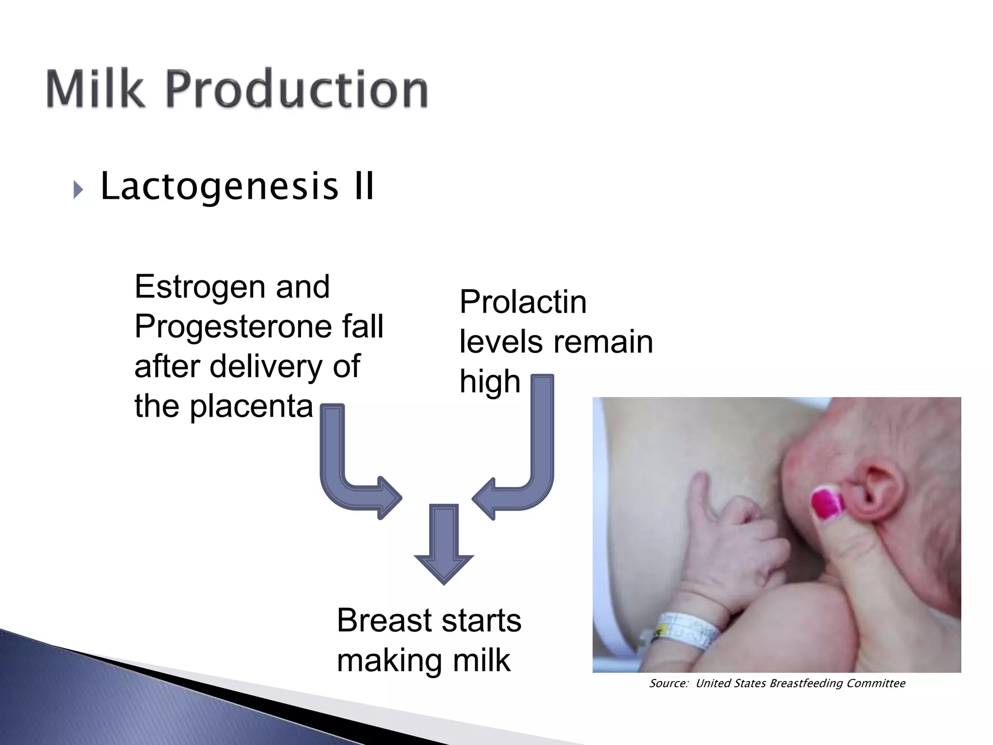 Session 3 from baby to breast -anatomy and physiolgy 2016 | PPT