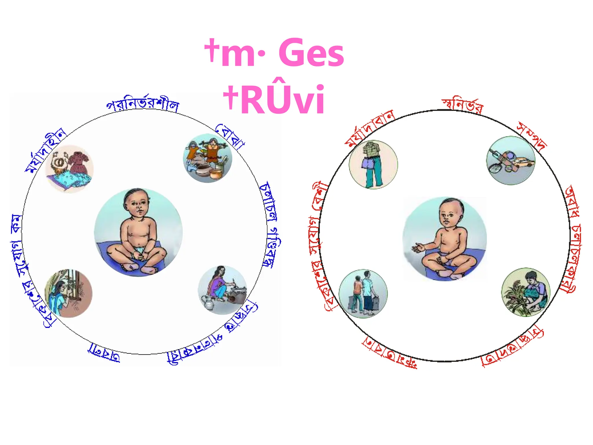 Introduction Sex And Gender Ppt