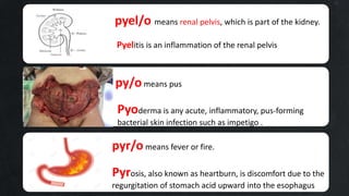 medical terminology by Yosra Raziani | PDF