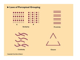 Session 3 perception.pptx
