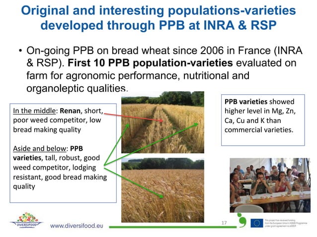 DIVERSIFOOD Final Congress - Session 3 - New approaches of plant ...