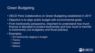 Session 3 - Financing for natural capital | PDF