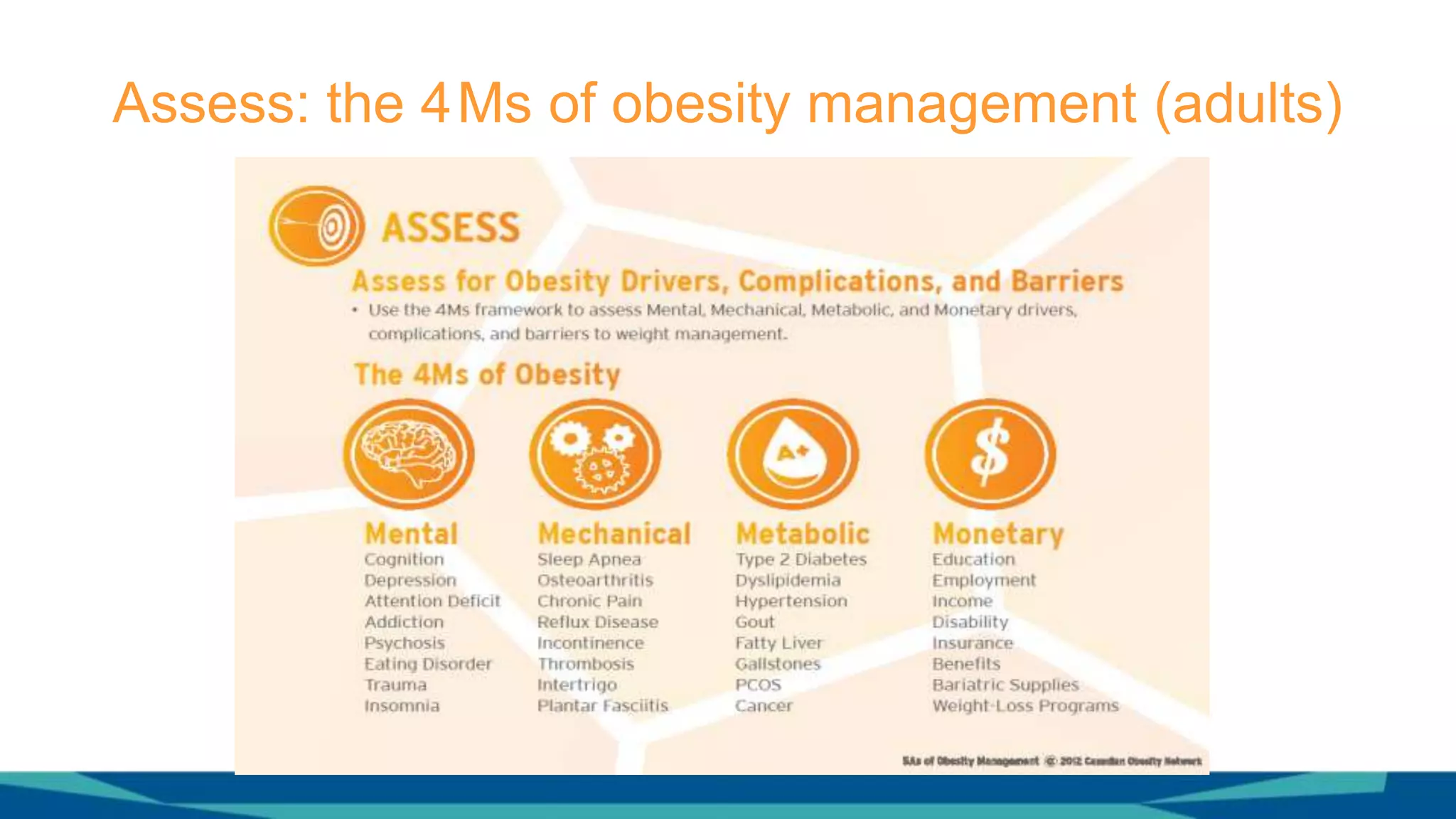 Session 4: Assess obesity-related risks and root causes of obesity | PPTX