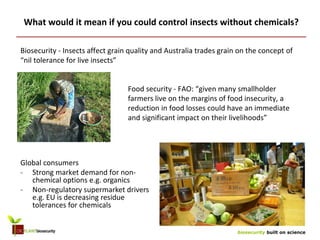 Session 4: Amorphous silica – a commercial path to impact | PPTX | Agriculture | Industries