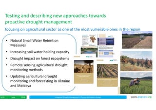 Integrated Drought Management Programme in Central and Eastern Europe ...