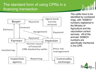 Capital market instruments for agriculture - What can we learn from ...