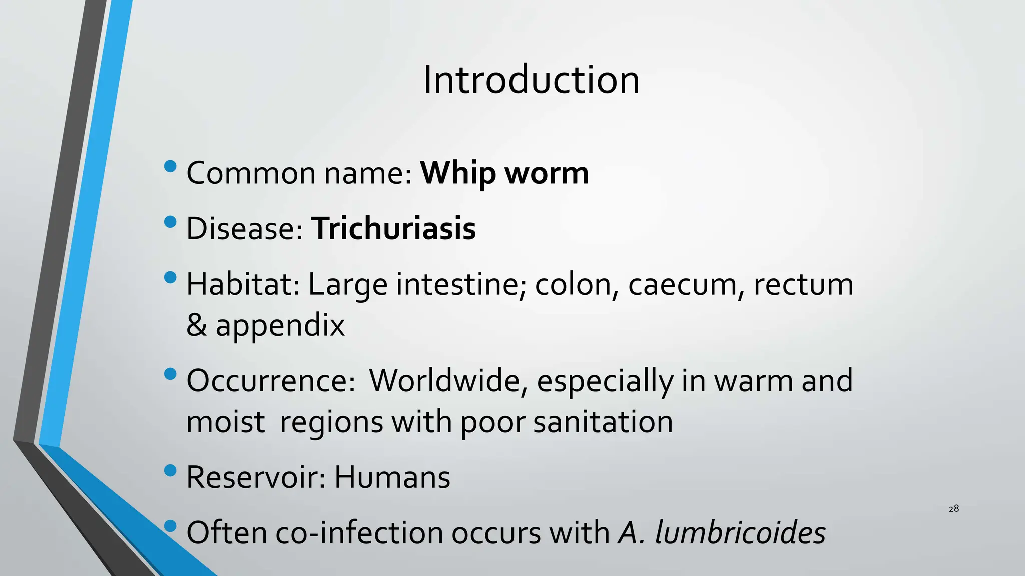 SESSION 4_DISEASES CAUSED BY WORM INFESTATIONS.pptx