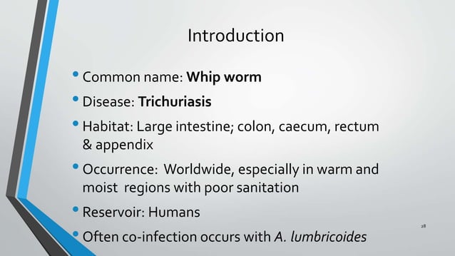 SESSION 4_DISEASES CAUSED BY WORM INFESTATIONS.pptx