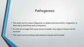SESSION 4_DISEASES CAUSED BY WORM INFESTATIONS.pptx