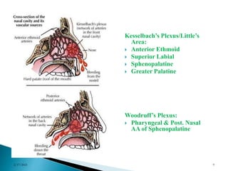 Session 4 Epistaxis.pptx