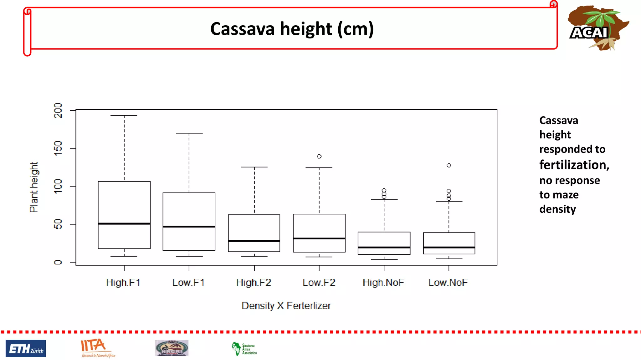 Session 4 improved cassava maize intercropping systems for sustainable ...