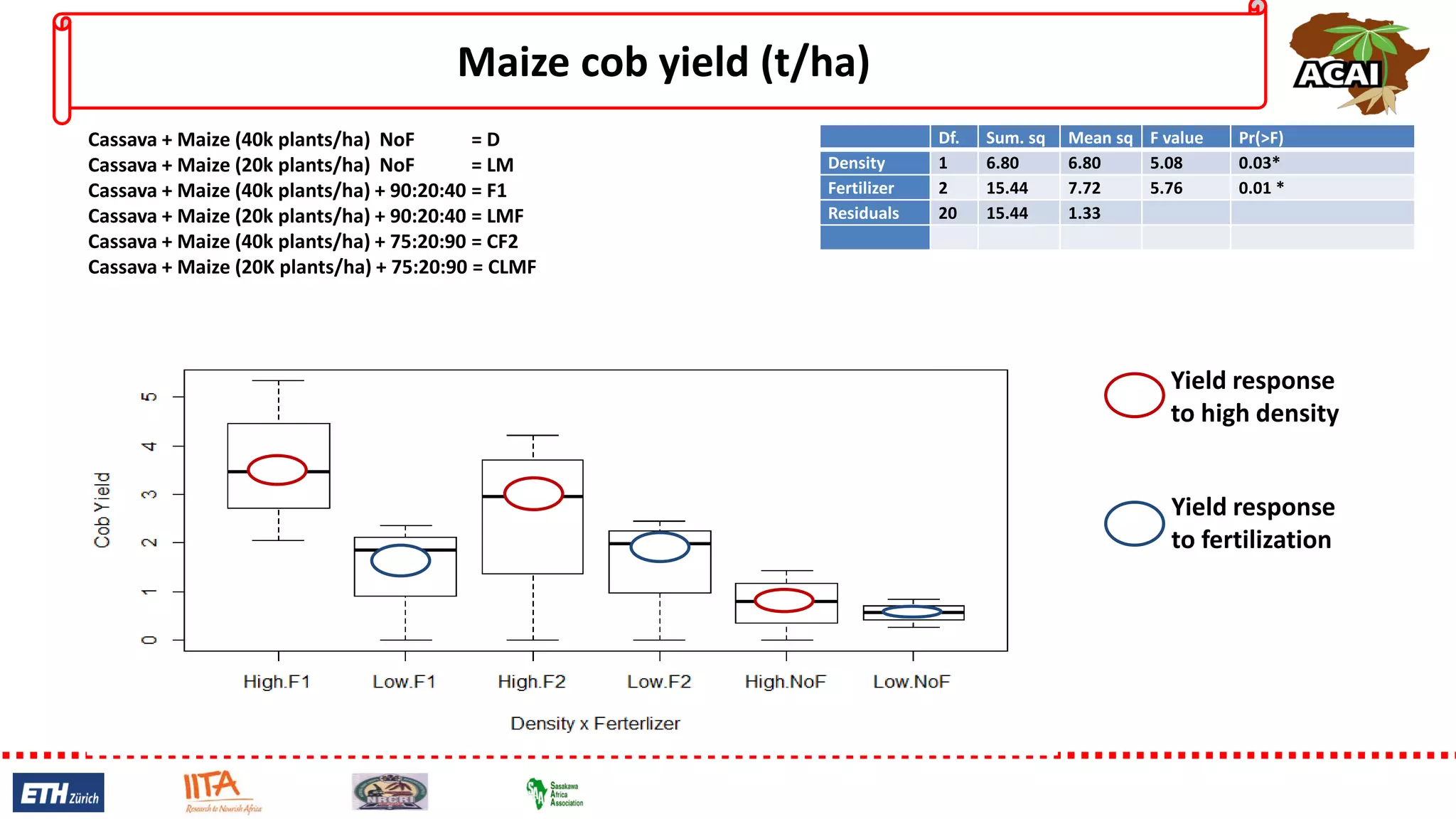 Improved Cassava Maize Intercropping Systems For Sustainable Cassava