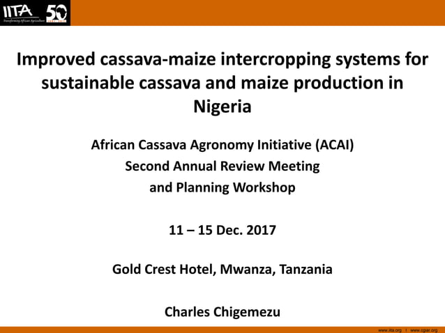 Improved Cassava Maize Intercropping Systems For Sustainable Cassava
