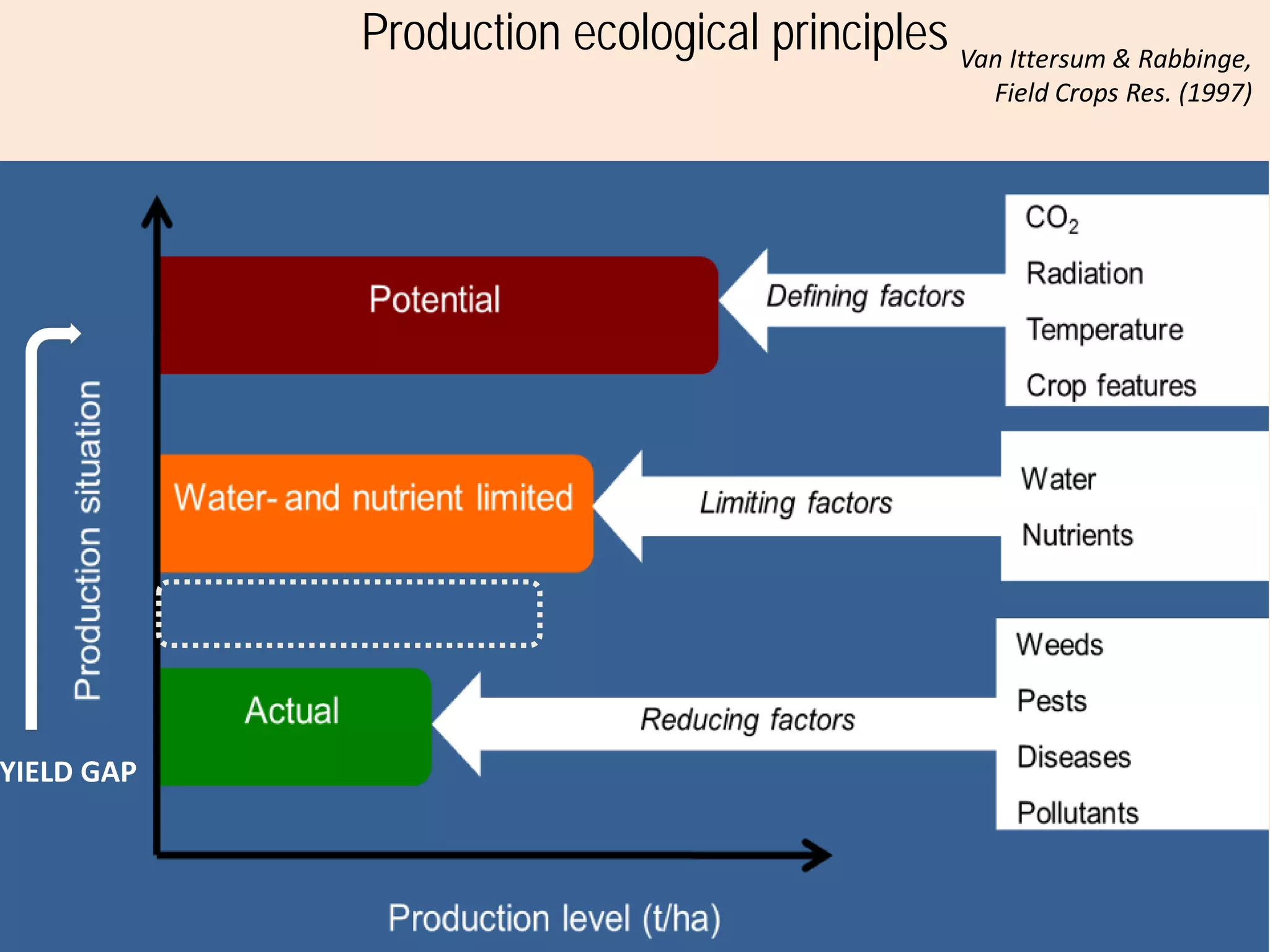 Improved crop management systems for sustainable cassava production in ...