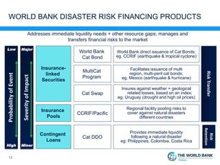 Natural Disaster Risk Transfer Solutions | PPT