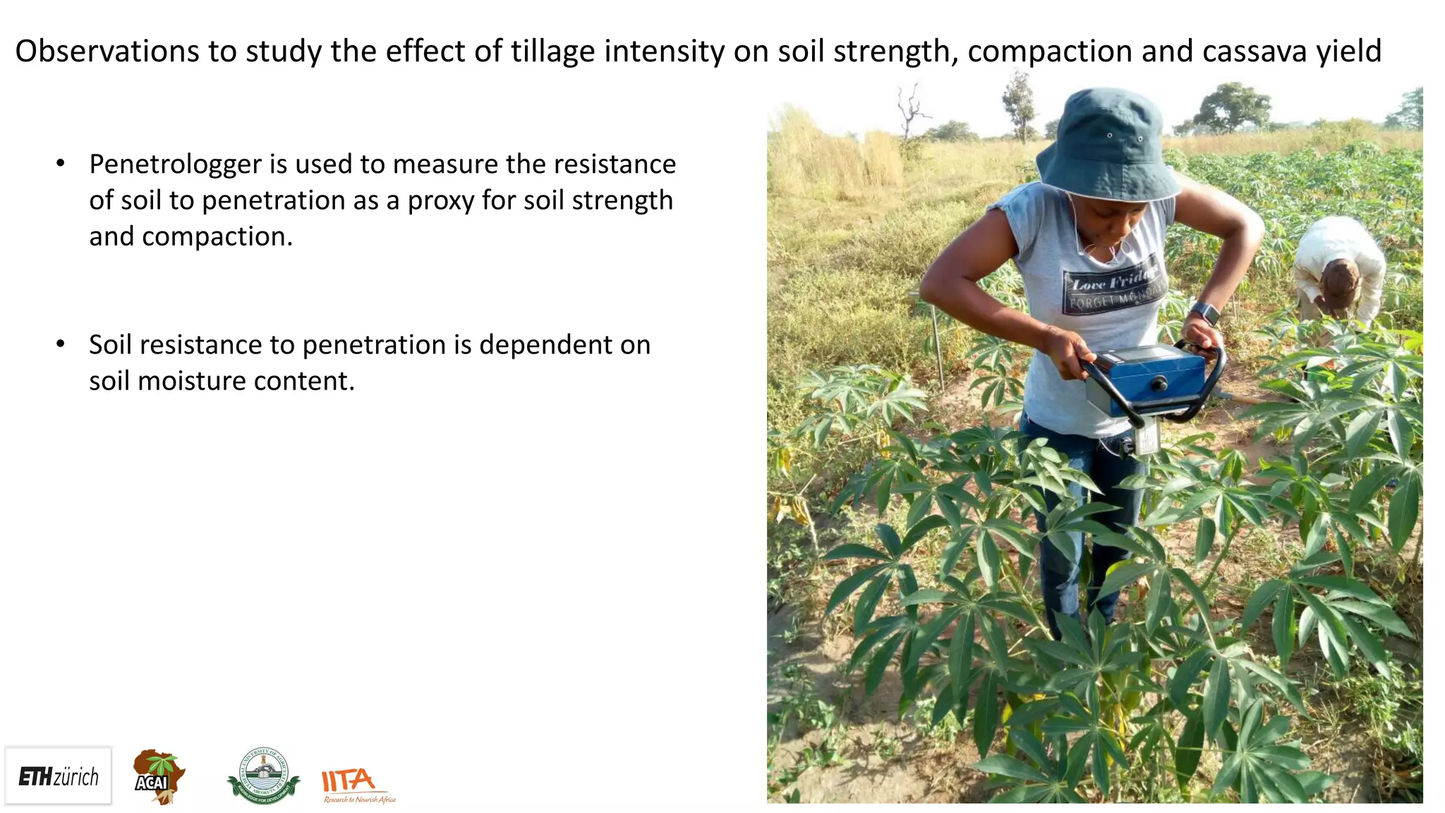 Evaluation Of Agronomic Practices On Growth Yield Of Cassava And Some Physical Properties Of