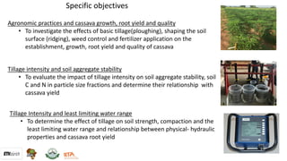 Evaluation of agronomic practices on growth, yield of cassava and some ...