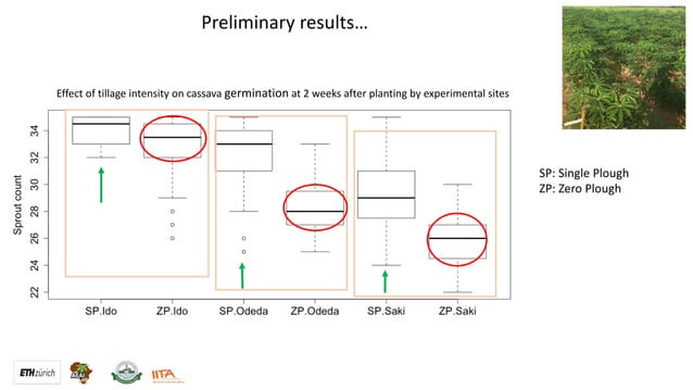 Evaluation Of Agronomic Practices On Growth Yield Of Cassava And Some Physical Properties Of