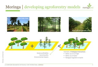 Session 5.2 Moringafund | A Sustainable Agroforestry Fund Agroforestry ...