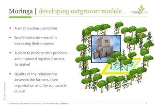 Session 5.2 Moringafund | A Sustainable Agroforestry Fund Agroforestry ...