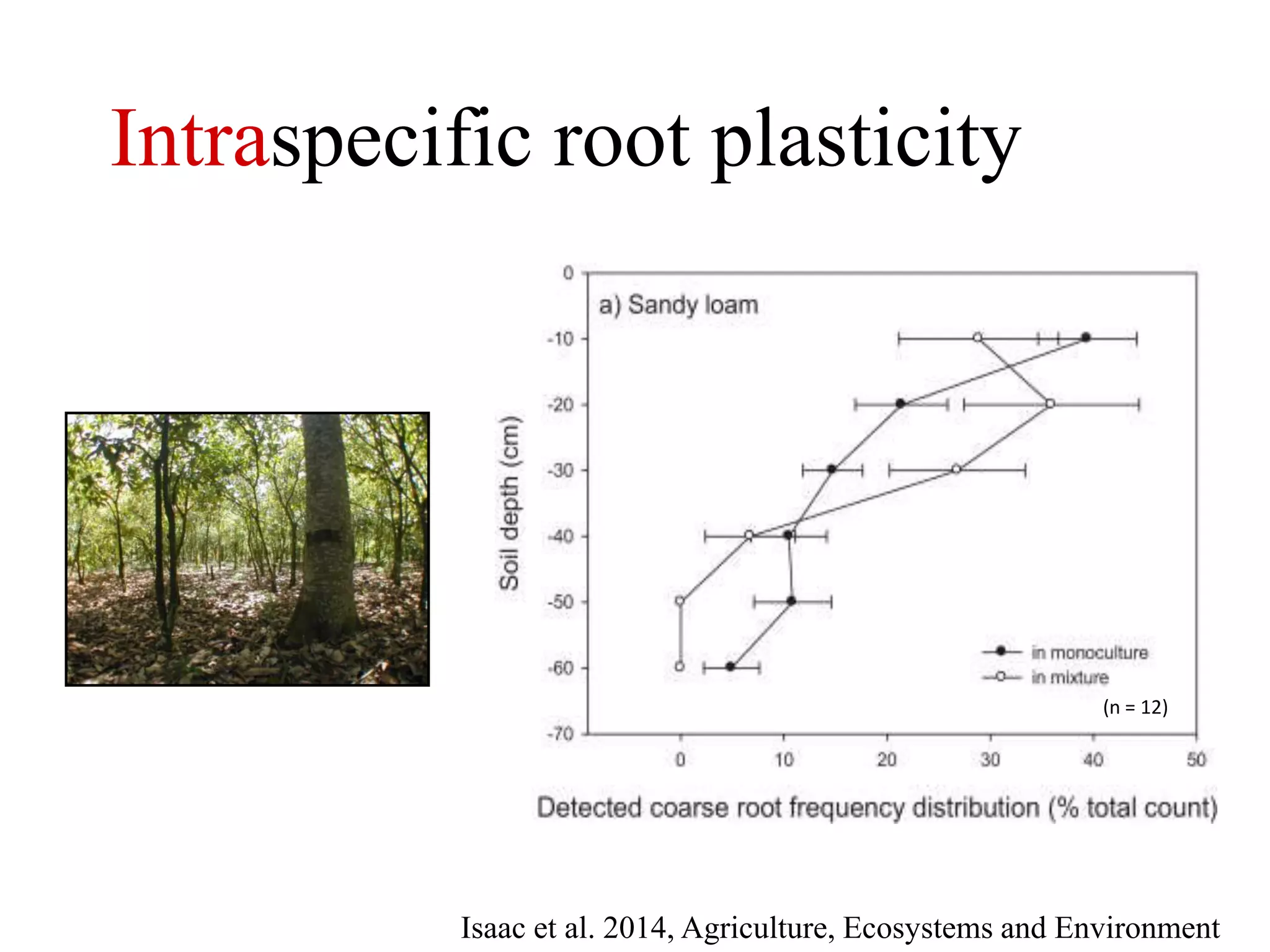 Session 5.2 Quantification of tree root distribution and biomass | PPT