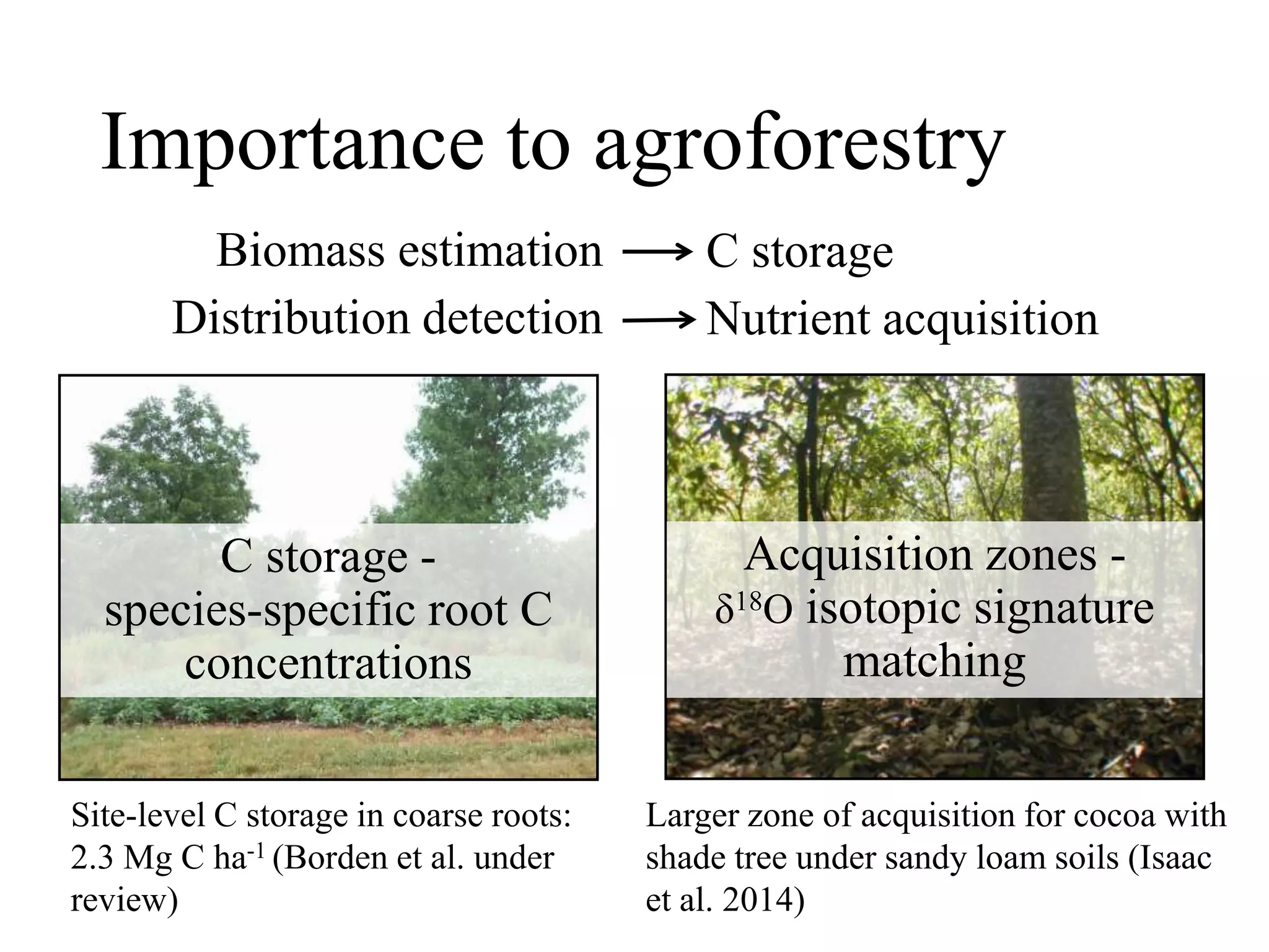 Session 5.2 Quantification of tree root distribution and biomass | PPT