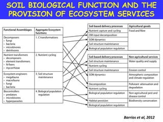 Session 5.3 tree soil interactions and provision of soil mediated ...