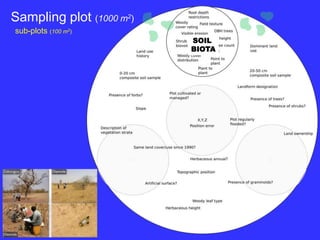 Session 5.3 tree soil interactions and provision of soil mediated ...