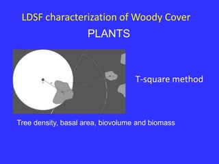 Session 5.3 tree soil interactions and provision of soil mediated ...