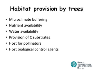 Session 5.3 tree soil interactions and provision of soil mediated ...