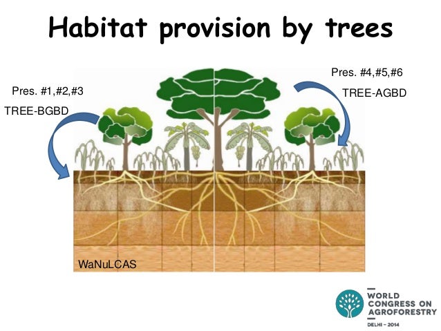 Session 5.3 tree soil interactions and provision of soil mediated eco…