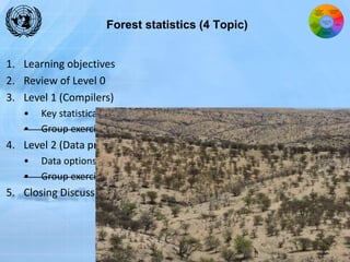 Session 5.2.2 UNSD Forest statistics training module_Forest statistics ...