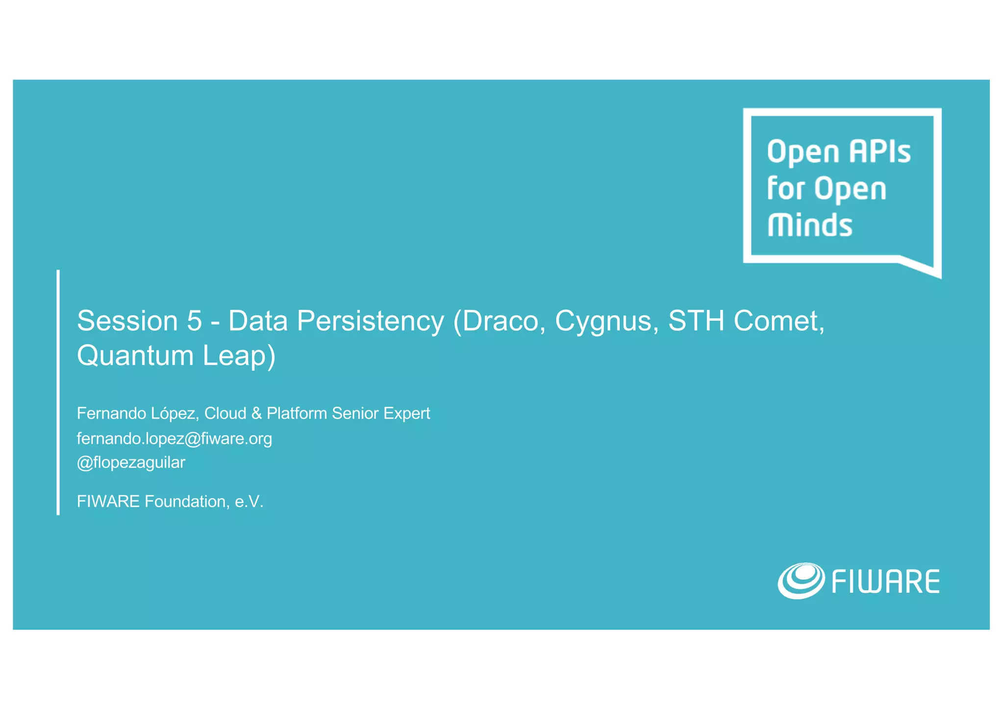 Data persistency (draco, cygnus, sth comet, quantum leap) | PDF