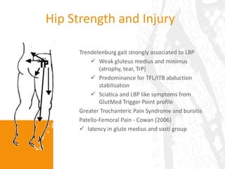 Function of the Hip and the lower limb: The relationship between ...