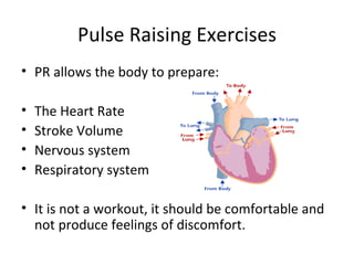 Session 5 warm up theory | PPT
